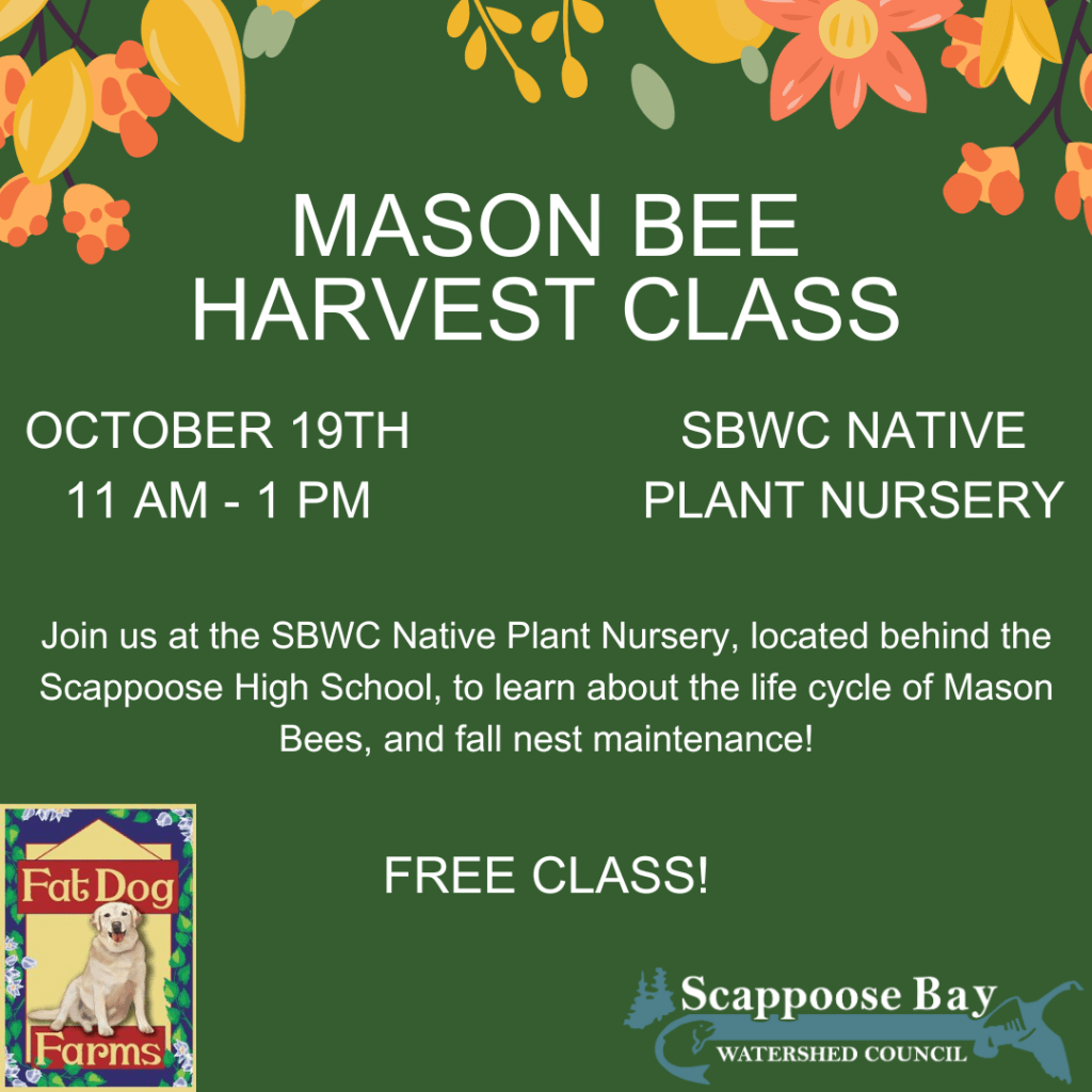 Mason Bee Harvest Class - Scappoose Bay Watershed